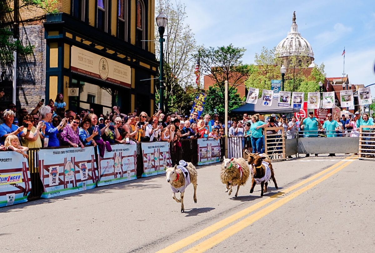 Washington’s many street festivals a boon for downtown businesses ...